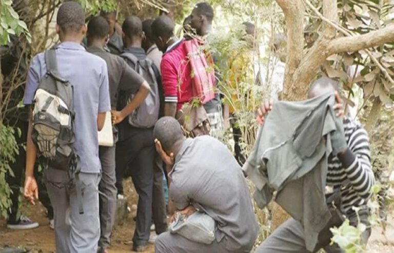 Abus et trafic de drogues : cannabis et tramadol, l’opium des jeunes au ...